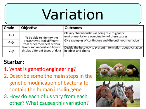 NEW AQA GCSE Trilogy (2016) Biology - Variation | Teaching Resources