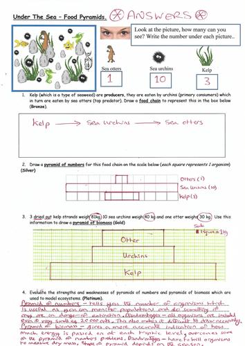 Transfers in food chains, energy loss, pyramids of numbers and biomass ...