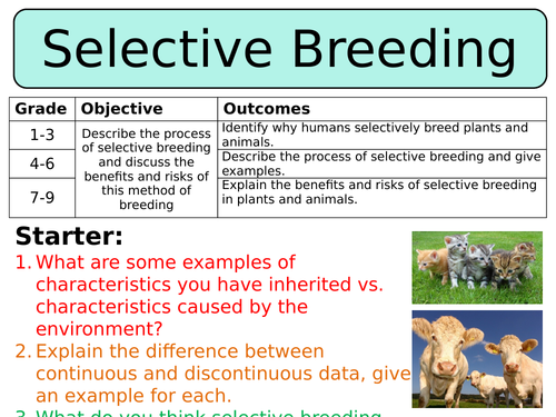 NEW AQA GCSE Trilogy (2016) Biology - Selective breeding | Teaching ...