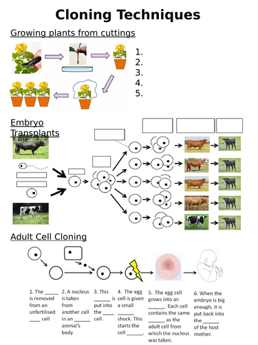 NEW AQA GCSE Biology - 'Inheritance, variation & evolution' HT lessons ...