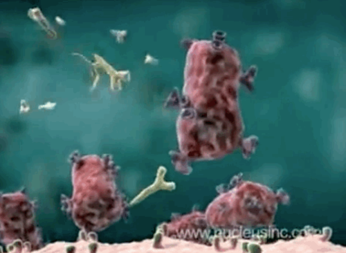 Human defence responses - complete lesson (GCSE 1-9) | Teaching Resources