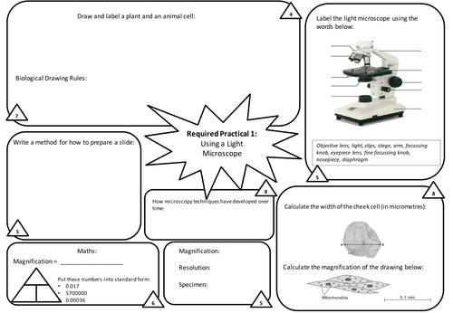 New AQA Biology GCSE 9-1 Biology Required Practical Revision Sheets ...