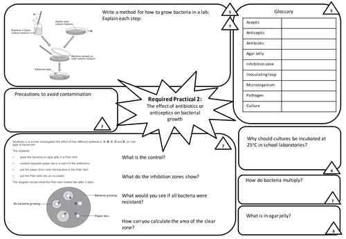 New AQA Biology GCSE 9-1 Biology Required Practical Revision Sheets ...