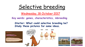 Cloning, GM and selective breeding bundle New 9-1 GCSE AQA | Teaching ...