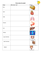 KS3 Unit 7A Biology - Human organs and their functions (Lesson 7Ab ...