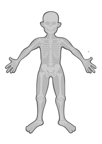 KS3 Unit 7A Biology - Human organs and their functions (Lesson 7Ab ...