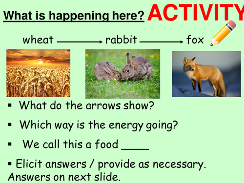 Adaptation, variation, environmental & inherited variation, effects of ...