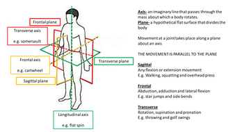 A2 OCR PE- Planes and Axis | Teaching Resources
