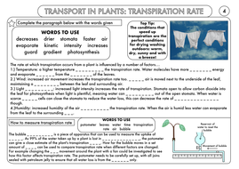 GCSE Biology Worksheet Pack on Transport in Plants: Transpiration ...