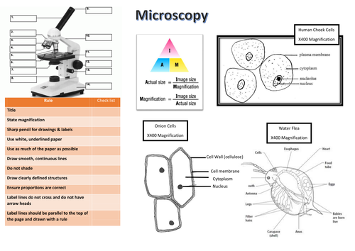 Microscopy Support Mat | Teaching Resources