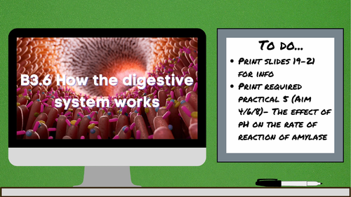 B3 Organisation and the digestive system bundle (AQA 9-1 GCSE Biology ...