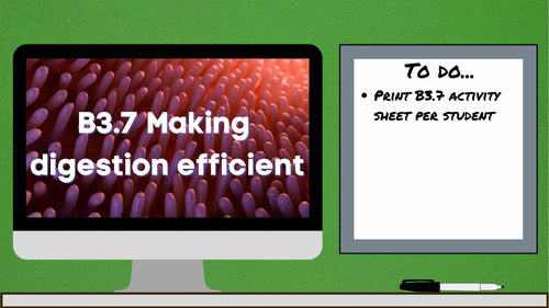 B3 Organisation and the digestive system bundle (AQA 9-1 GCSE Biology ...