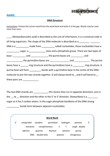 DNA Structure cloze gap fill summary | Teaching Resources