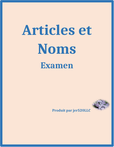 Articles et Noms (Articles and Nouns in French) Test | Teaching Resources