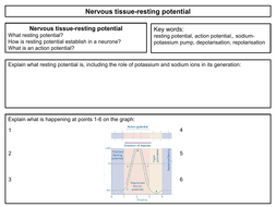 New BTEC Applied Science B3 Tissues structure and function_Nervous ...