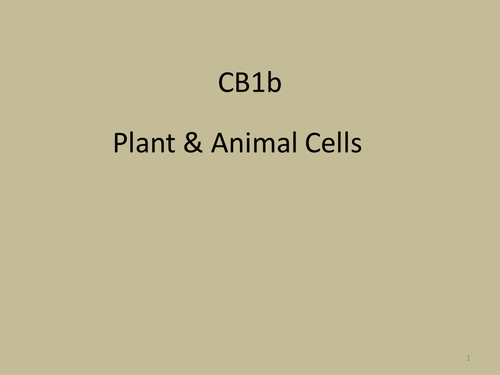CB1b - Plant and Animal Cells | Teaching Resources