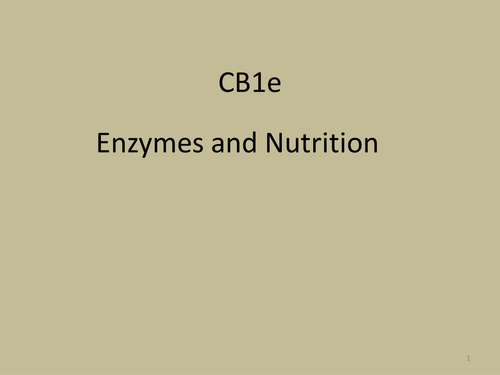 CB1e - Enzymes and Nutrition | Teaching Resources