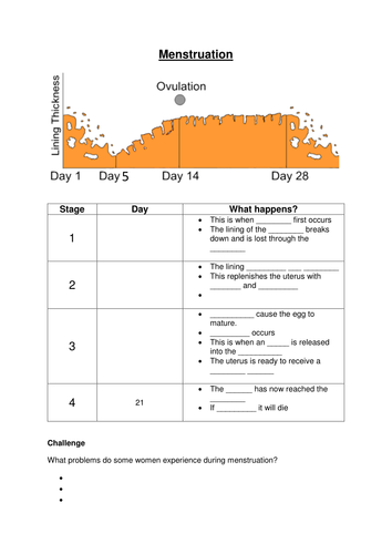 KS3 Changes in puberty and menstruation | Teaching Resources