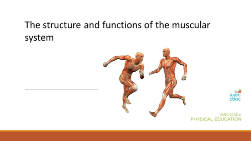 WJEC EDUQAS Muscular Skeletal System Unit of Work | Teaching Resources