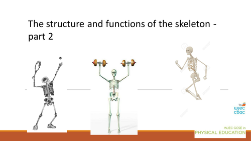 WJEC EDUQAS Muscular Skeletal System Unit of Work | Teaching Resources