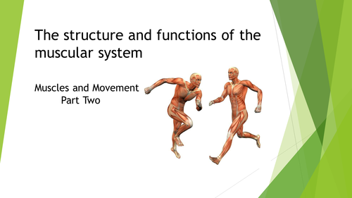 WJEC EDUQAS Muscular Skeletal System Unit of Work | Teaching Resources