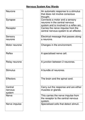 B10: The human nervous system (AQA) | Teaching Resources
