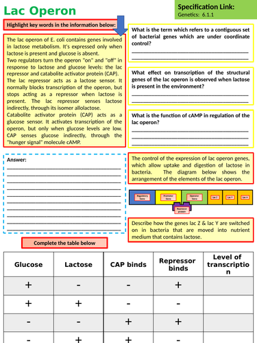 A Level Biology Lac Operon Lesson & Activities | Teaching Resources