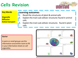 GCSE KS4 Biology (Science) Cells Revision Lesson | Teaching Resources