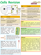 GCSE KS4 Biology (Science) Cells Revision Lesson | Teaching Resources