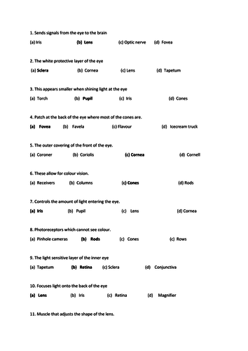 B10.5 The Eyes | Teaching Resources