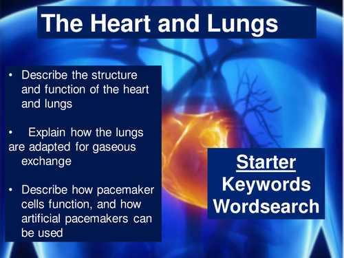 AQA GCSE Biology B2 The Heart and Lungs | Teaching Resources