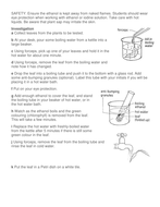 IGCSE BIOLOGY - 6.0 Plant Nutrition | Teaching Resources