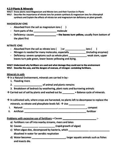 IGCSE BIOLOGY - 6.0 Plant Nutrition | Teaching Resources