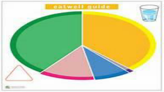 Eatwell Guide Worksheets | Teaching Resources