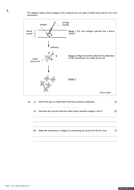 GCSE Vaccination | Teaching Resources