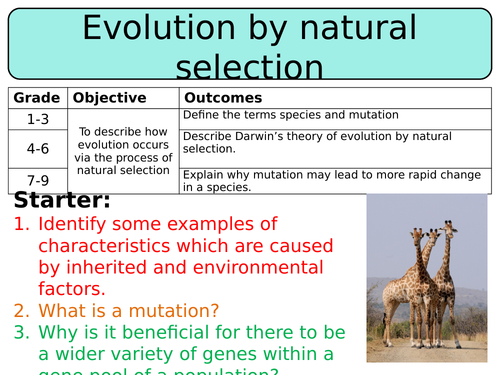 NEW AQA GCSE Biology - 'Inheritance, Variation & Evolution' lessons ... NEW AQA GCSE Biology - 'Inheritance, Variation & Evolution' lessons ...
