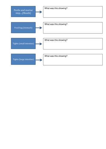 Digestive System- Organisation (New GCSE AQA Spec) | Teaching Resources Digestive System- Organisation (New GCSE AQA Spec) | Teaching Resources