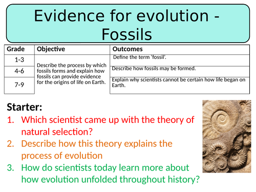 NEW AQA GCSE Trilogy (2016) Biology - Evidence for evolution: Fossils ...