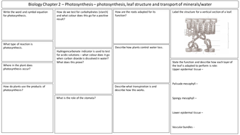 NEW AQA 2016 GCSE Trilogy Biology revision mat Photosynthesis ...