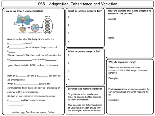 KS3 Biology Revision Sheets | Teaching Resources
