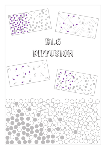 GCSE AQA New Spec B1.6 Diffusion workbook | Teaching Resources