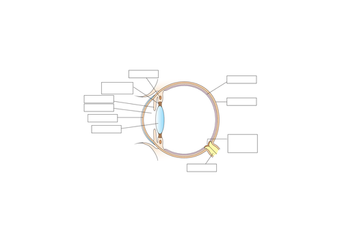 B10.5 B10.6 The eye and complications | Teaching Resources