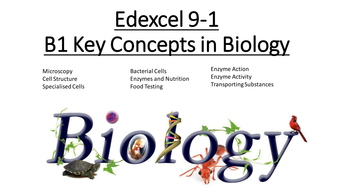 B1 Key Concepts in Biology Edexcel 9-1 | Teaching Resources