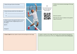 AQA GCSE PE (9-1) Lever Systems and Mechanical Advantages | Teaching ...