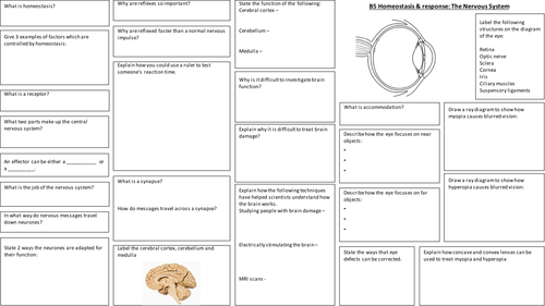 AQA B5 Homeostasis & Response revision broadsheets | Teaching Resources AQA B5 Homeostasis & Response revision broadsheets | Teaching Resources