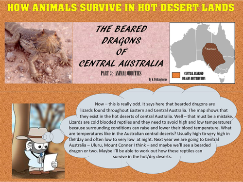 ANIMAL ODDITIES PART 3 - BRONWYN THE BEARDED DRAGON OF THE AUSTRALIAN ...