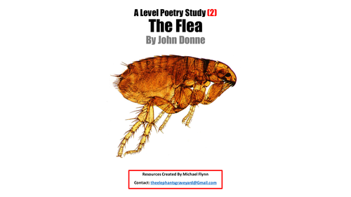 A Level Poetry: The Flea By John Donne | Teaching Resources