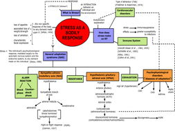 A level Psychology All Topic Mind Maps | Teaching Resources