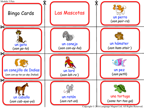 Spanish Pets Bingo Game | Teaching Resources