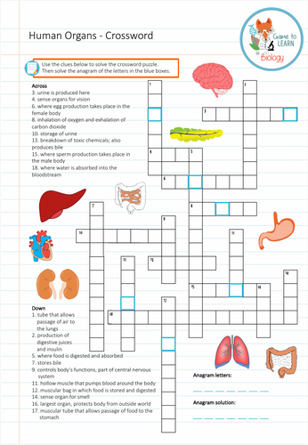 Organs - Crossword Puzzle (KS3/4) | Teaching Resources